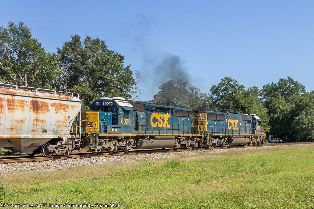 CSX 8029